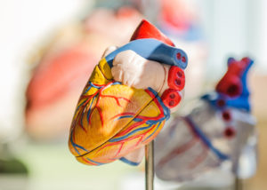 Connected Cardiovascular Care Associates | Cardiologist in Dallas ...